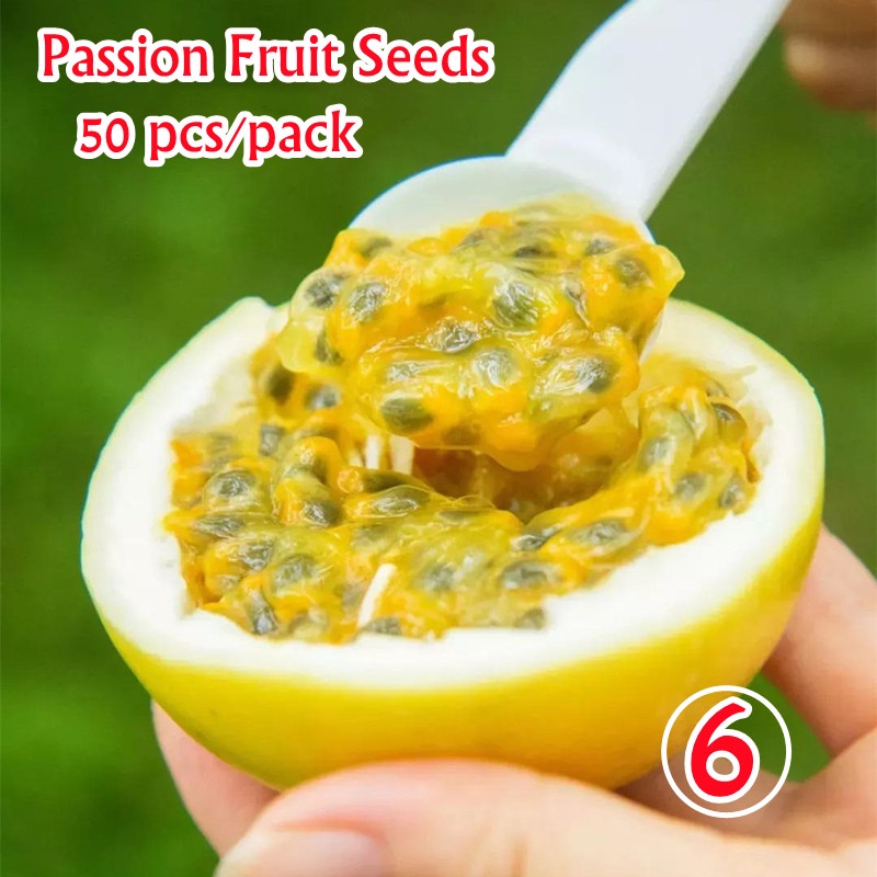 50 Seeds Yellow & Red Passion Fruit Seeds for Planting Bonsai Passion ...