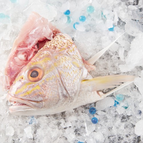 Fresh White Snapper Fish Head (Ang Go Li) - [Approx 600g] | Shopee ...