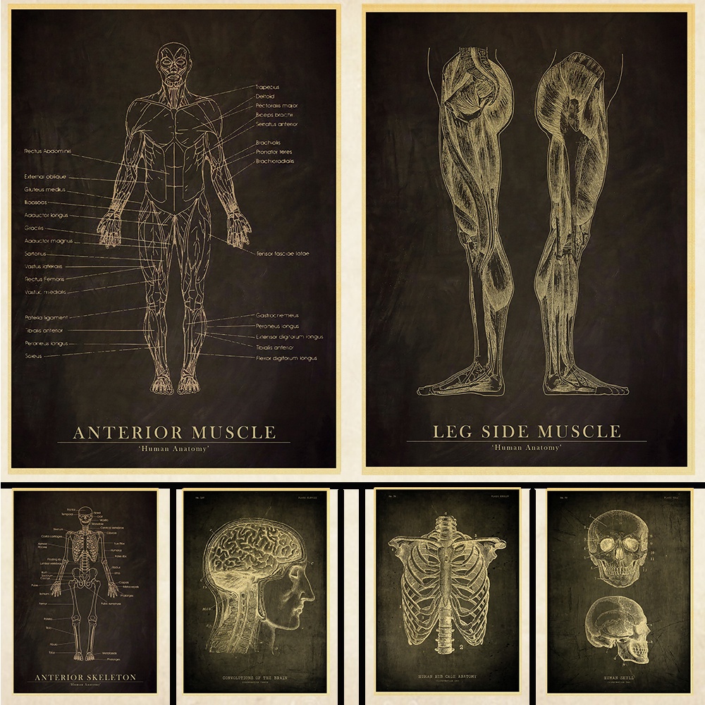 Anatomical Skeleton Chalkboard Poster Kraft Paper Posters Vintage Home ...
