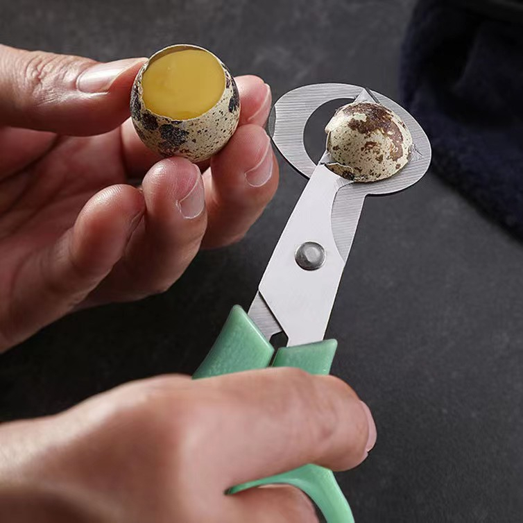Quail Egg Opener Egg Shell Cutting Shell Opening Divider Egg Opening ...