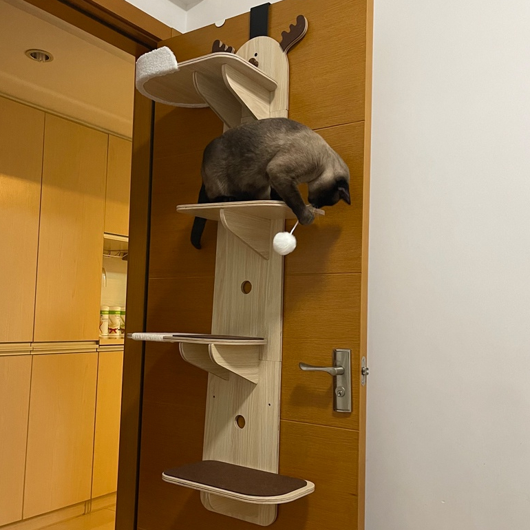 Hanging Door Cat Frame Cat Climbing Frame Cat Litter Cat Tree Solid ...