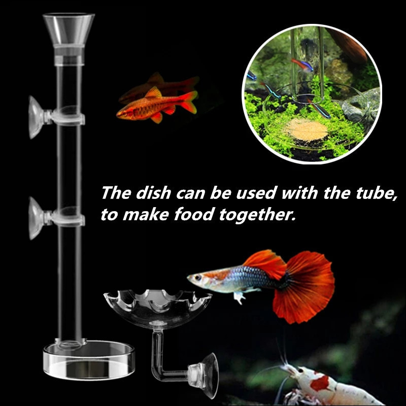 Acrylic Aquarium Feeder Tube Dish Shrimp Fish Snail Food Dispenser ...