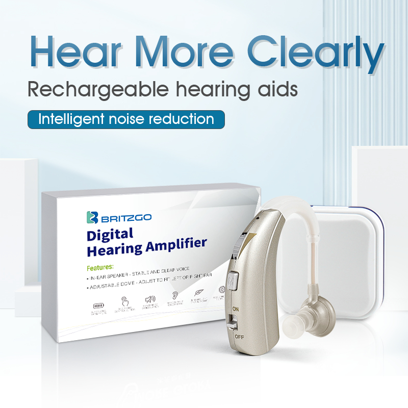 BRITZGO Hearing Aid Original Rechargeable Type-c noise reduction ...