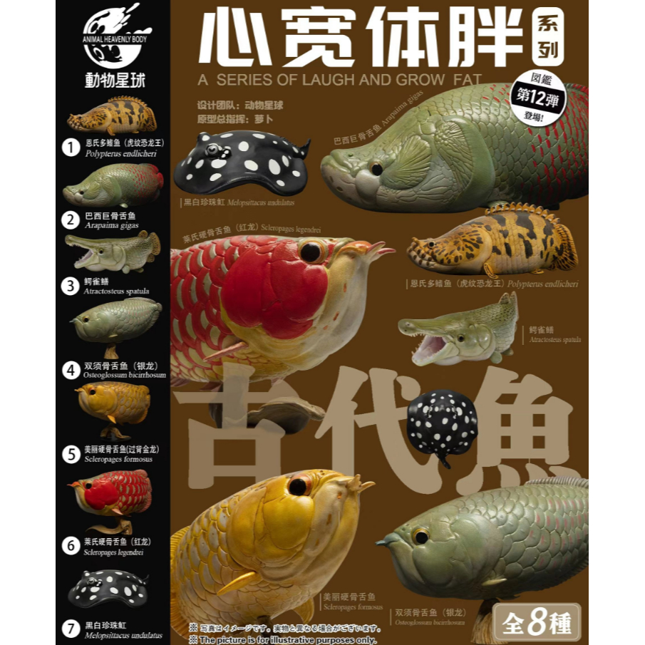 Animal Planet Ancient Fish Heart Wide Body Fat Hard Bone Tongue Fish ...