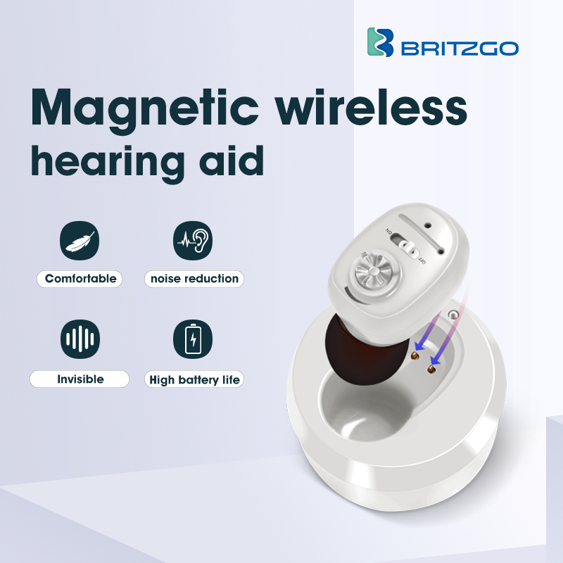 BRITZGO Hearing Aid Mini Rechargeable Digital Hearing Amplifier ...