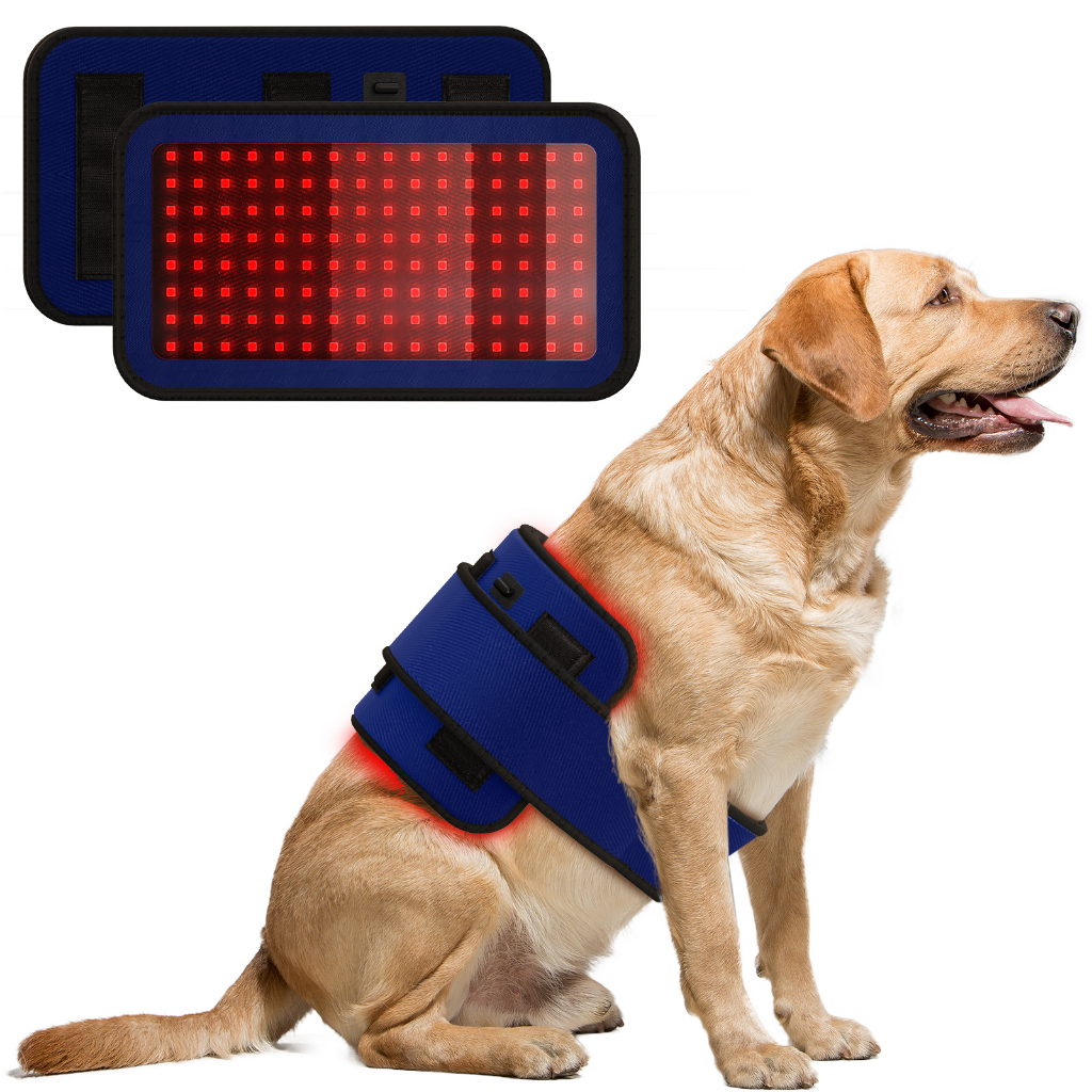 KTS Cold Laser Therapy Device for Dogs, Infrared Light Therapy for Pets ...