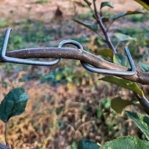 10PCS Bonsai Shaper Fruit Tree Twig Puller Finalizer Universal Latest ...