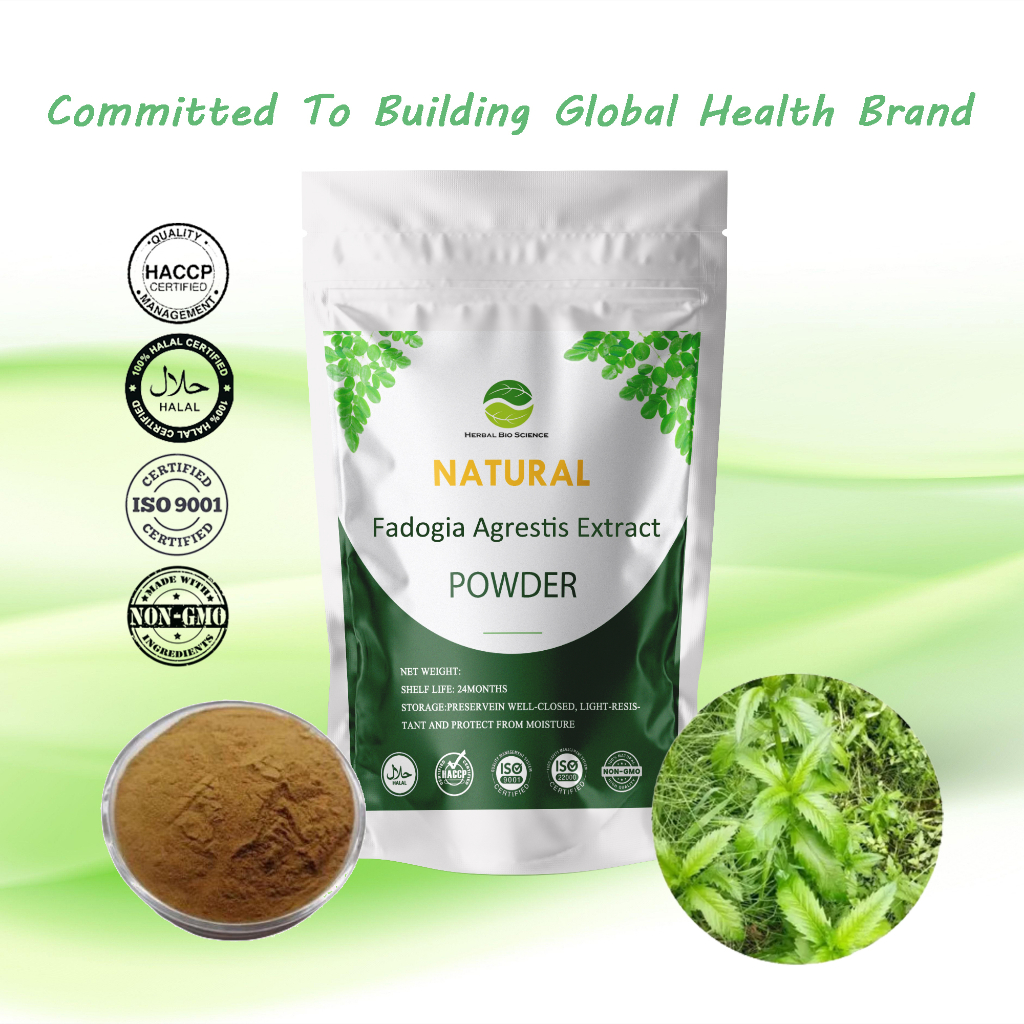 【Natural】30:1 Fadogia Agrestis Extract 纯天然苦腹草提取粉/Caring for Male Health ...