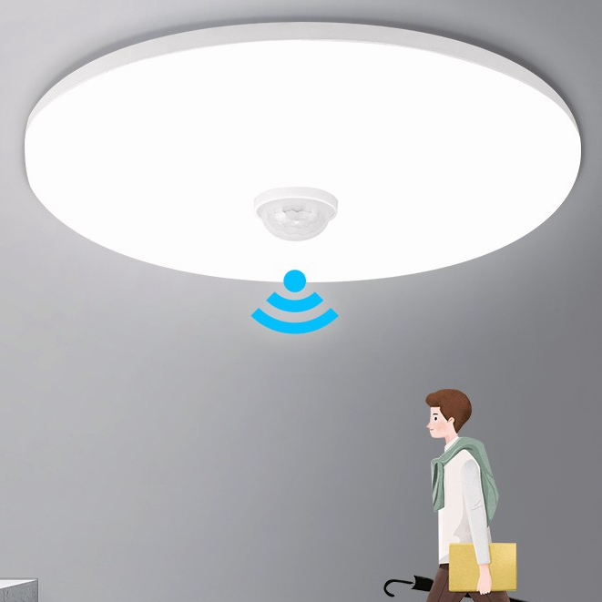 CANMEIJIA LED Lamp with Motion Sensor Ceiling Lights PIR Night Light ...