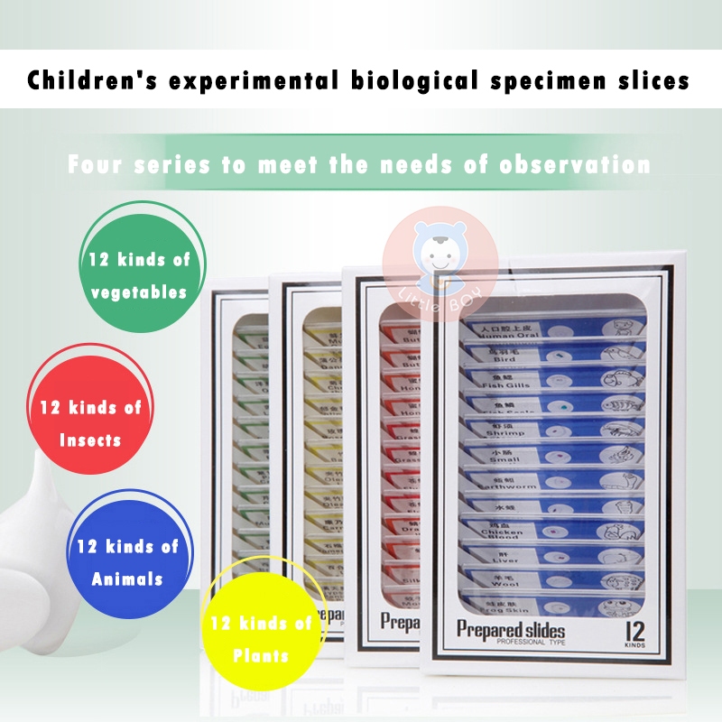 12PCS Microscope Slide Children's Plastic Biological Slide Specimens ...