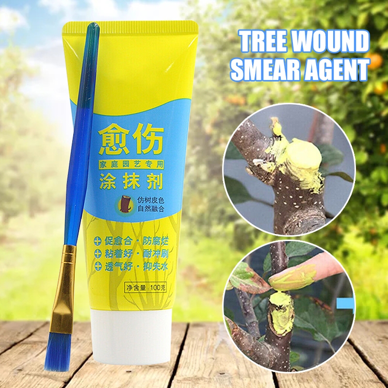 100g Tree Wound Cut Paste Smear Agent Pruning Compound Sealer with ...