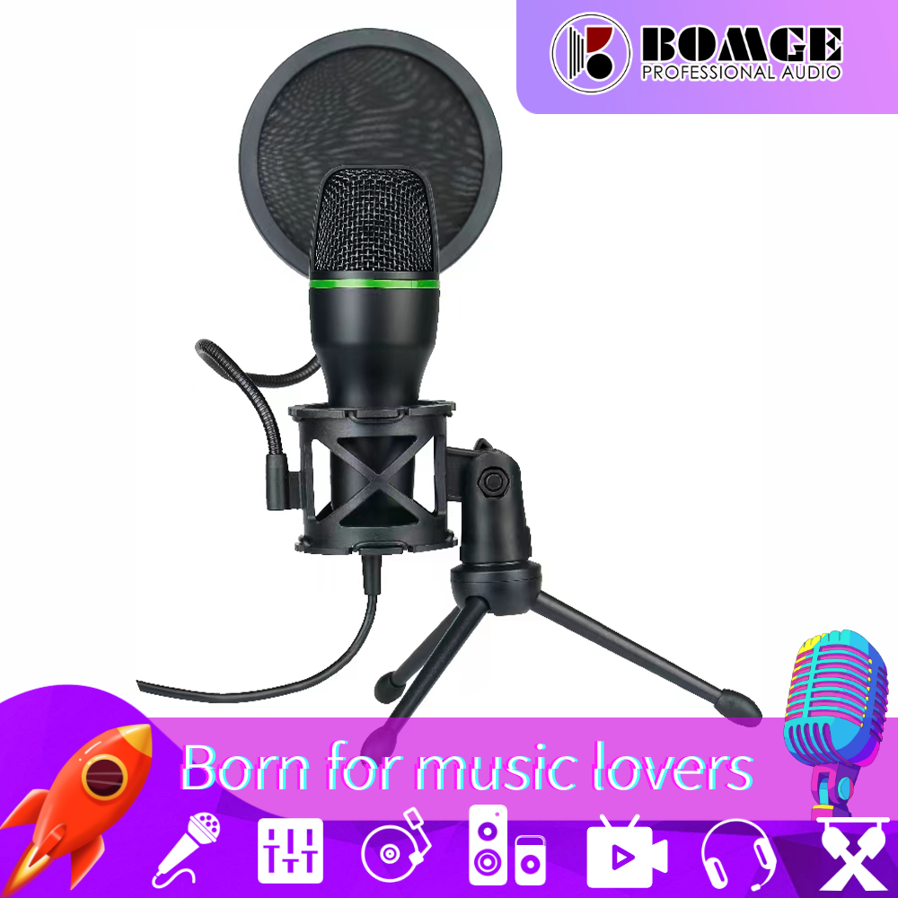 Condenser Recording Microphone, USB Plug Mic for PC, Broadcast ...