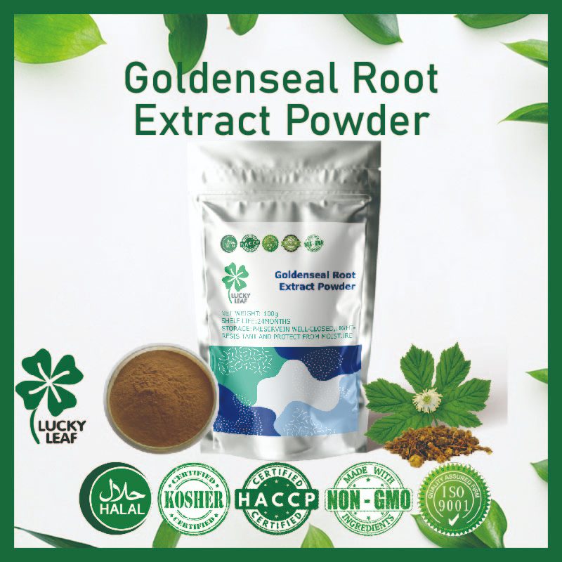 【100g-1000g】Goldenseal Root Extract/Hydrastis Canadensis/Bladder&Liver ...