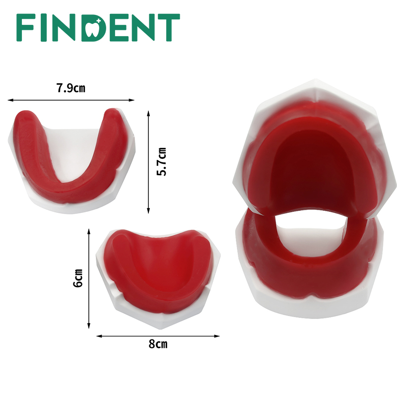 Dental Wax Embankment Model Of Edentulous Jaw Model Soft Wax Plaster ...