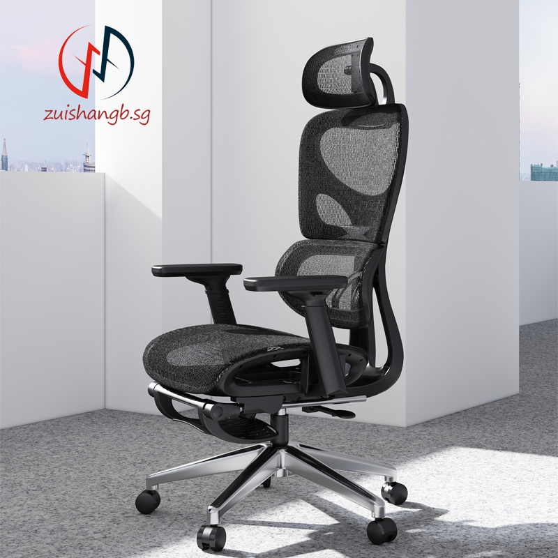 Ergonomic Office Chair with Lumbar Support, 3D Armrests, Dual Backrest ...