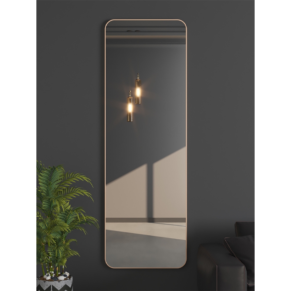 Full body mirror, dressing mirror, fitting mirror, wall mounted ...