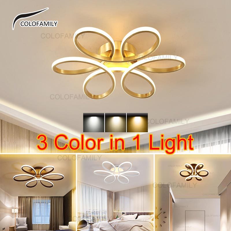 3 Colors Ceiling Lights LED Decorative Lights Home Living Room ...