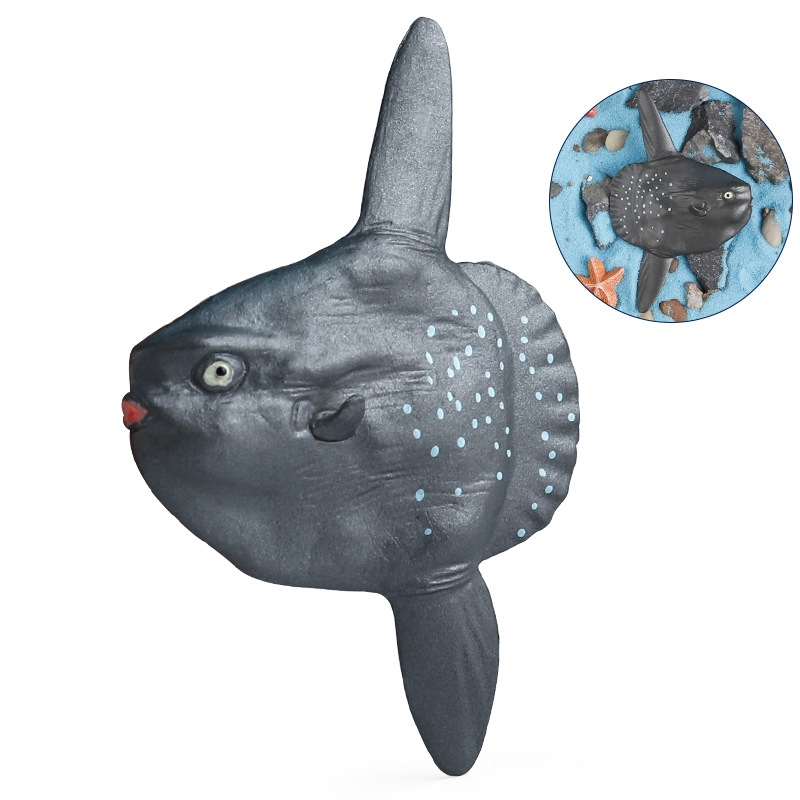 children science education toys marine creatures mola ocean sunfish ...