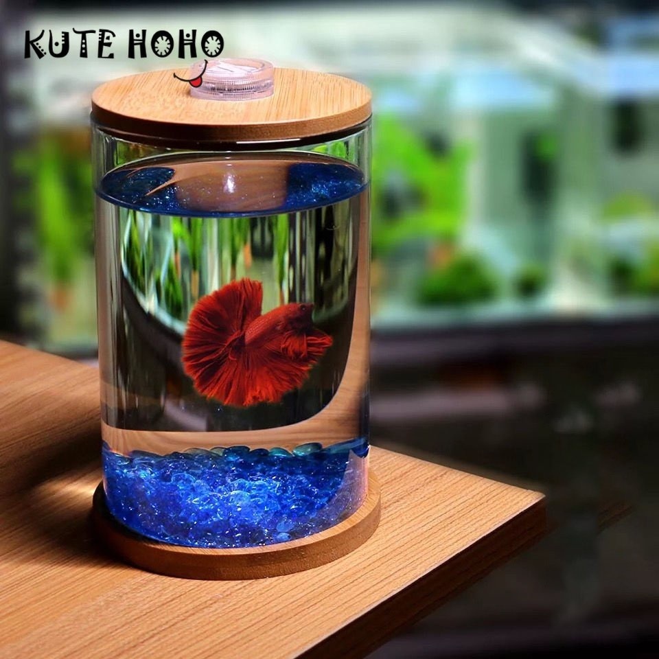【SG STOCK】 Glass Fish Tank Small Desk Aquarium Tank with Accessories ...