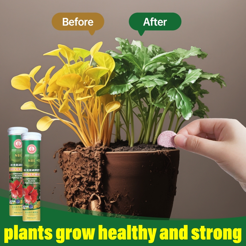 Plant Nutrient Tablets Plant Growth Enhancer Hydroponic Nutrients ...