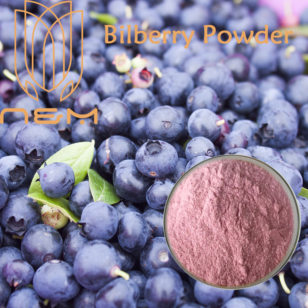 N&M/ Bilberry Powder/ Rich in Anthocyanin/ Support Healthy Eye & Vision/ Powerful Antioxidant ...