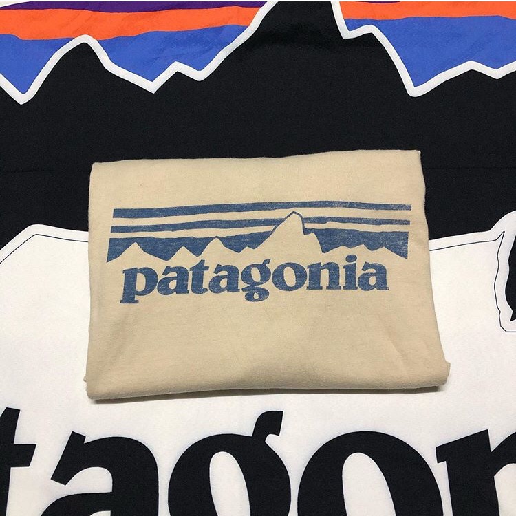 Patagonia Solid Classic Letter Mountain Picture Cotton T-shirt Men's ...