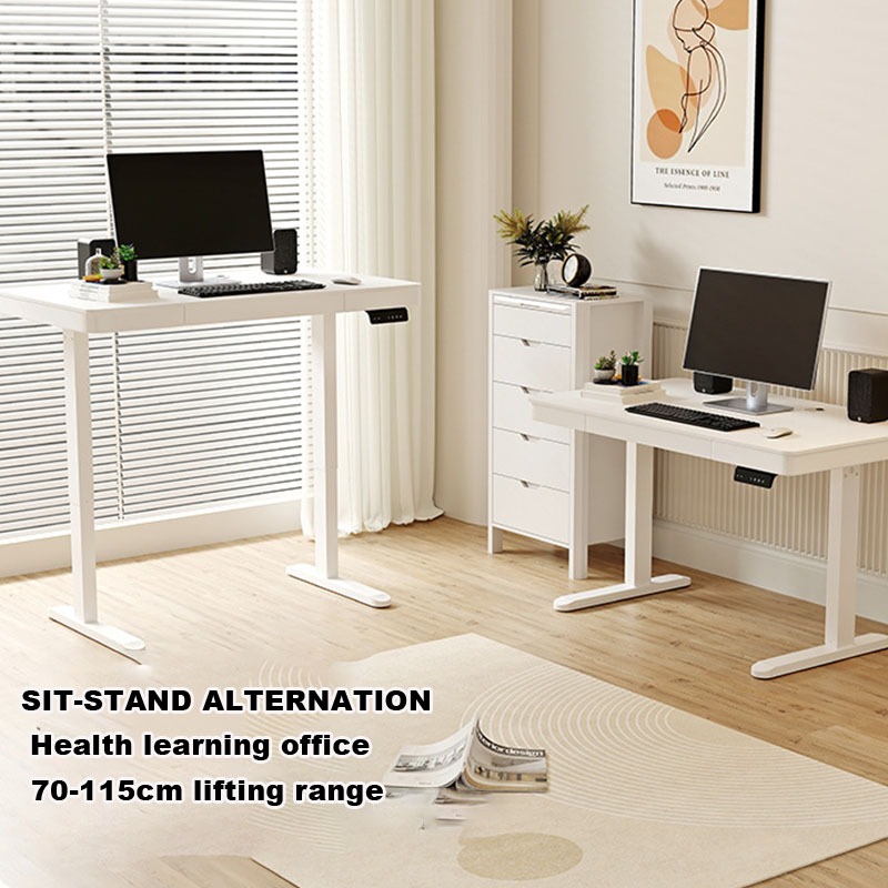 LX WY Computer Table Electric Height Adjustable With Drawer Standing ...