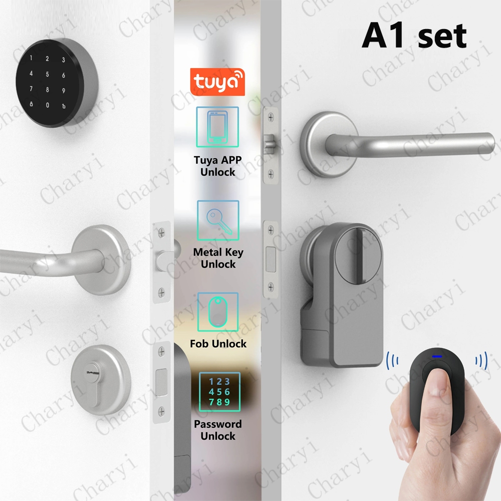 Tuya Bluetooth Smart Door Lock Set with APP/ Keypad/ Smart Key Add ...