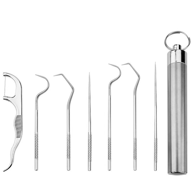 Professional stainless steel floss set Portable Toothpick cleaner Oral ...