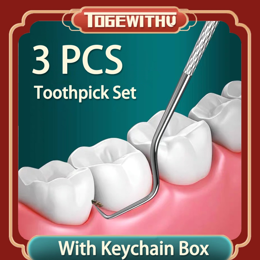 3PCS Toothpick Pocket Set, Reusable Dental Tools Stainless Steel Teeth ...