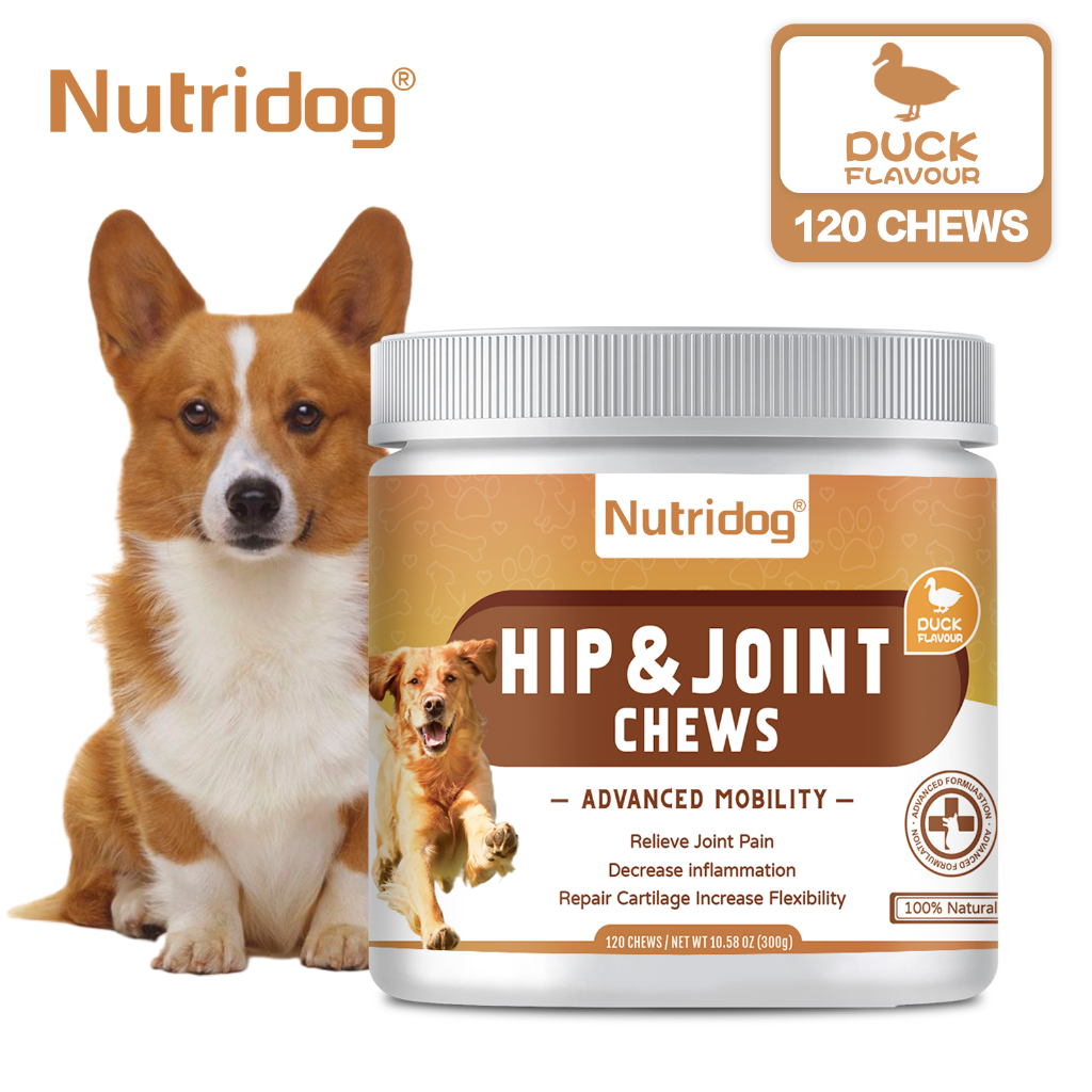 Nutridog Dog Hip Chewable Tablets, Joint Supplement, Contains ...
