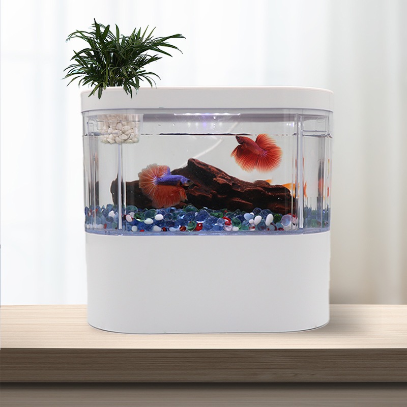 Mini Fish Tank external volume 4L Table Top Tank With Led Lights And ...