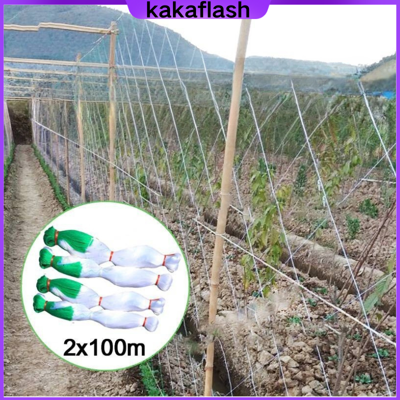 vegetable planting net Ivy frame, vegetable growing nets, vegetable ...