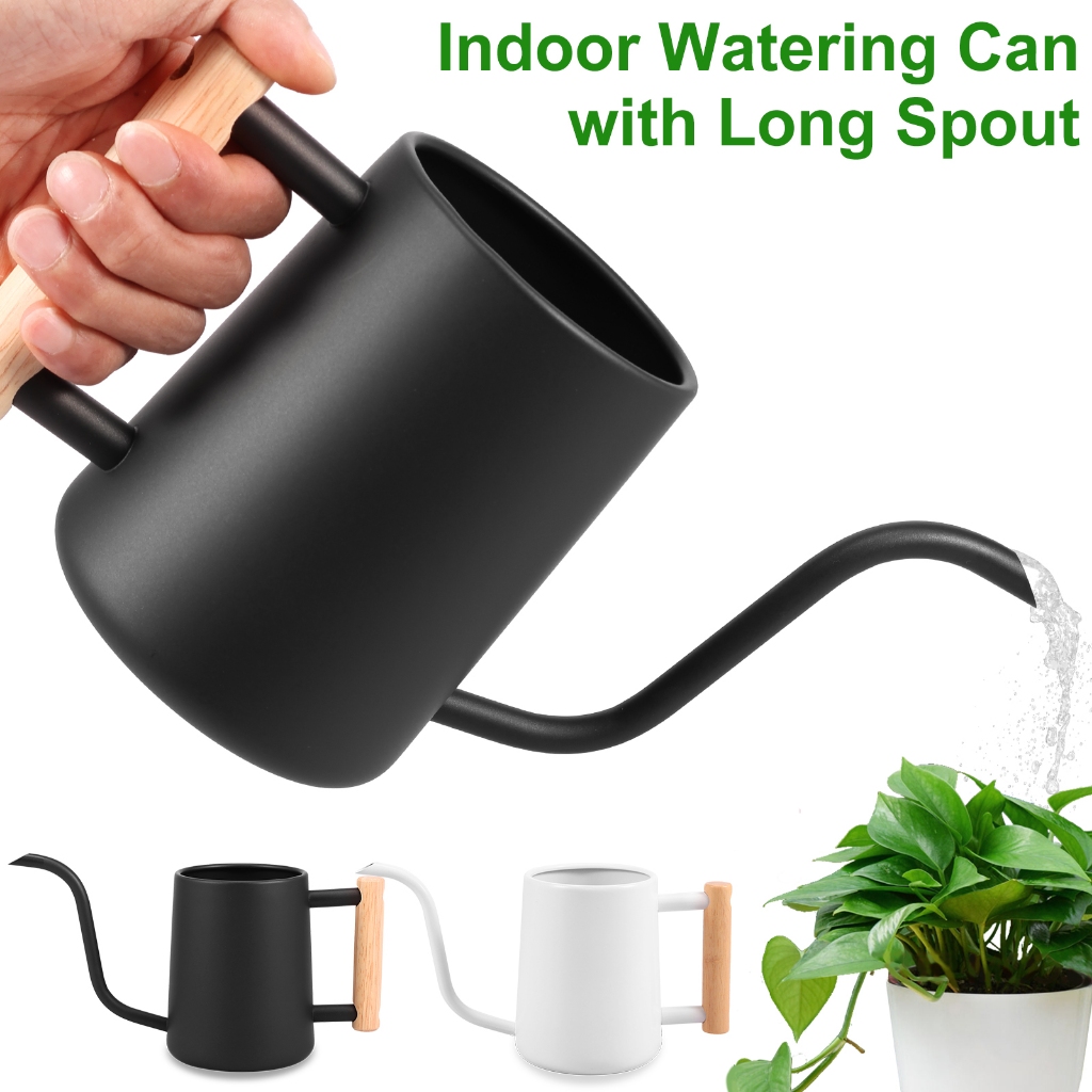 Mini Watering Can for Indoor Plants 300ml Stainless Steel Watering Pot ...