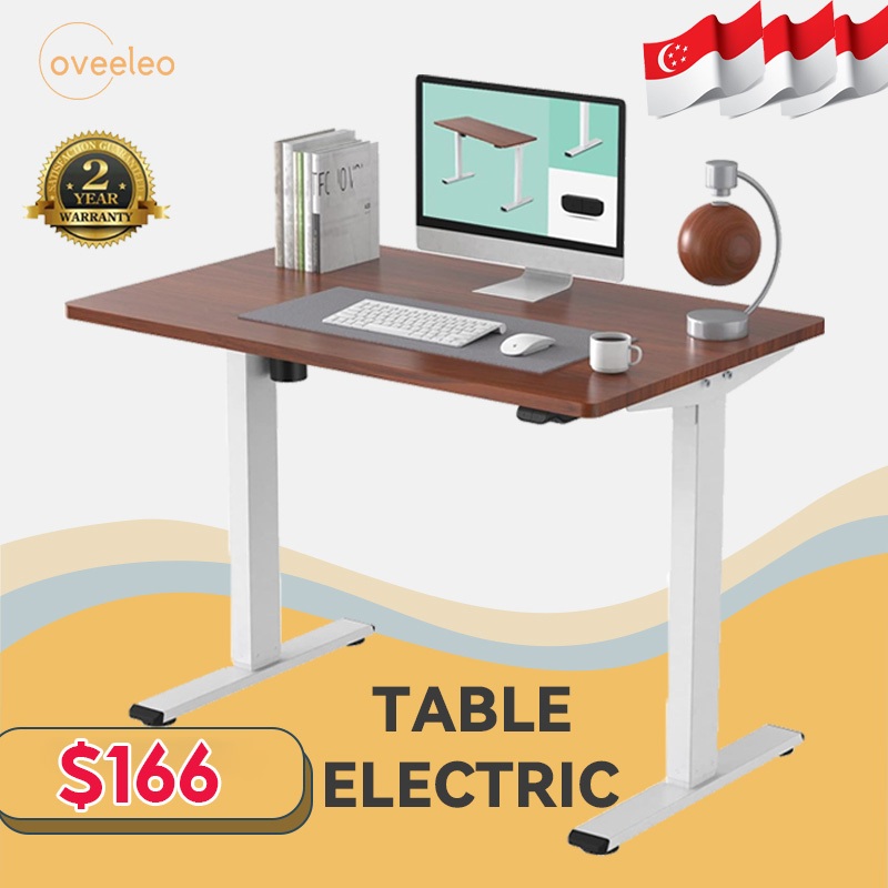 Electric Height Adjustable Desk Memory Standing Desk 120x60cm Ergonomic ...