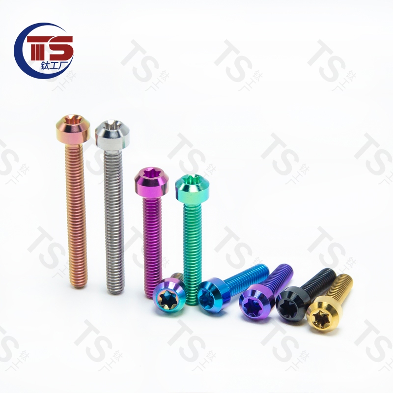 TS M5 Cylindrical Chamfering Inner Torx 64 Positive Titanium Alloy ...