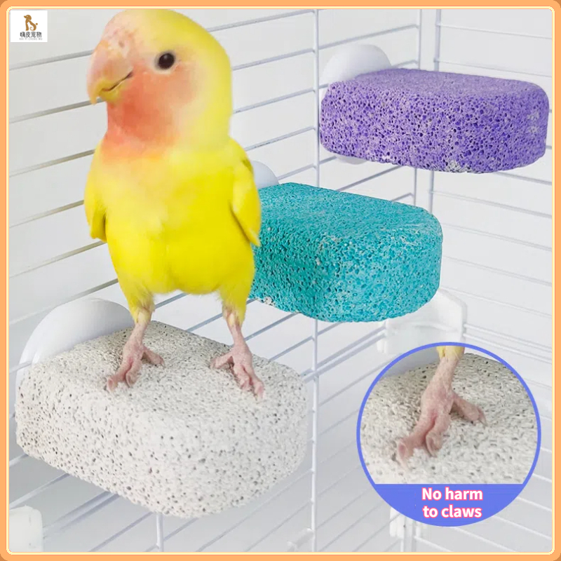 Parrot Station Pole/Parrot Ice Cream Claw Grinding Platform/Bird Cage ...