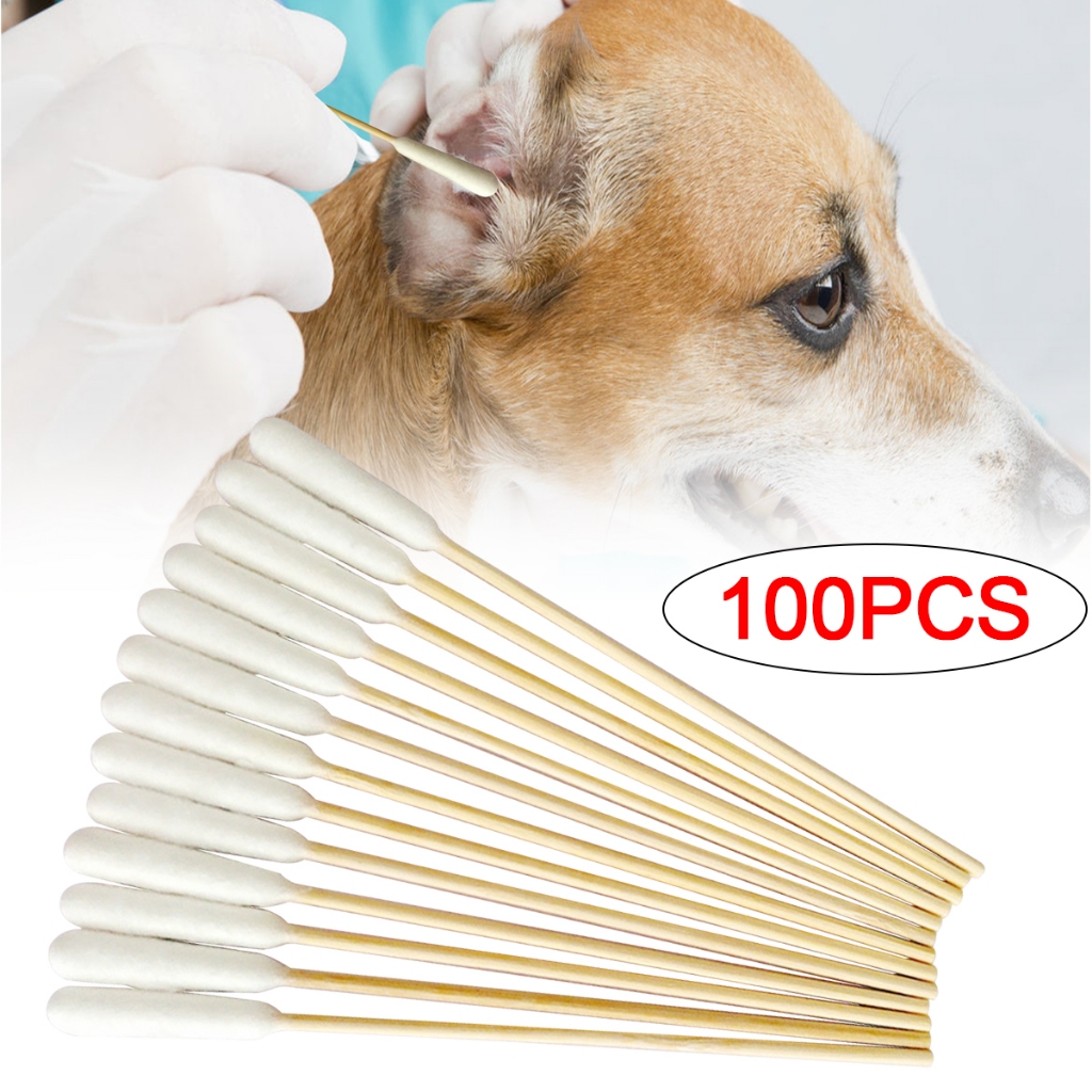 100 Pcs Dog Cotton Buds Long Ear Dog Cleaner Cotton Swab Sticks with ...