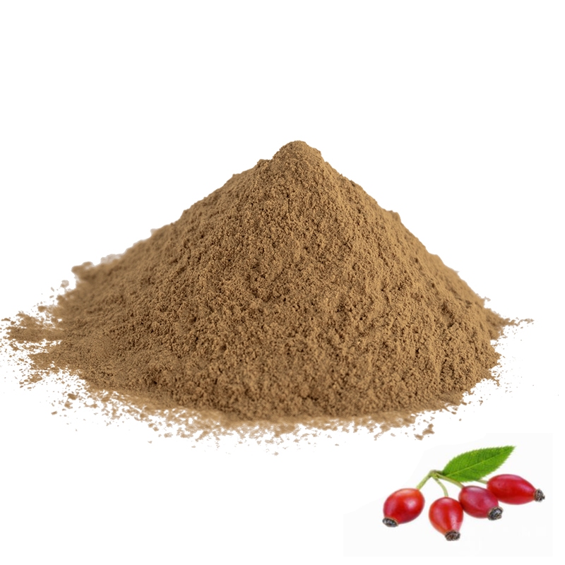 Factory Supply High Quality Rose Hip Extract Rosehip Extract Powder ...