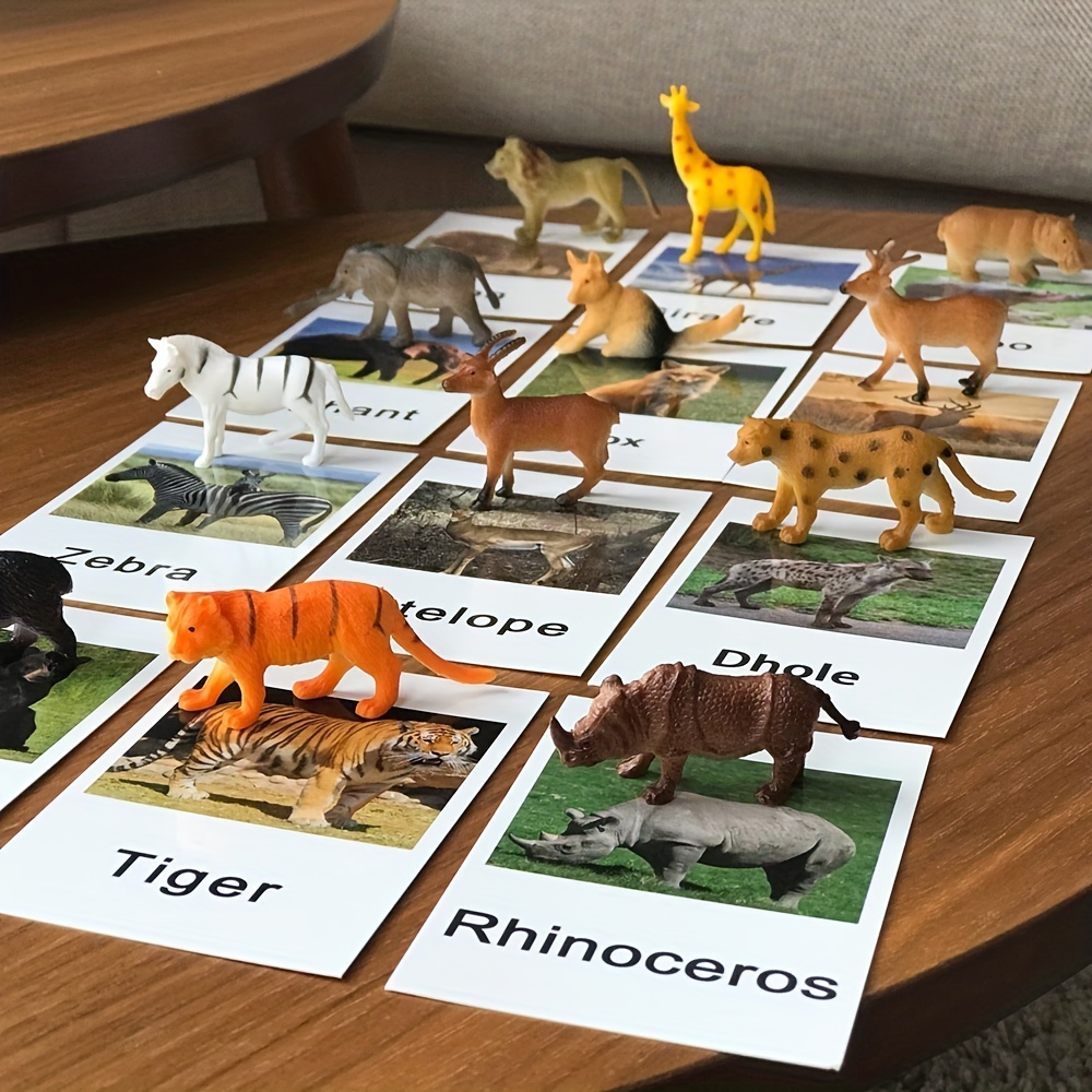 10 types Lifelike Montessori Animal Match Cards,Miniature Poultry ...