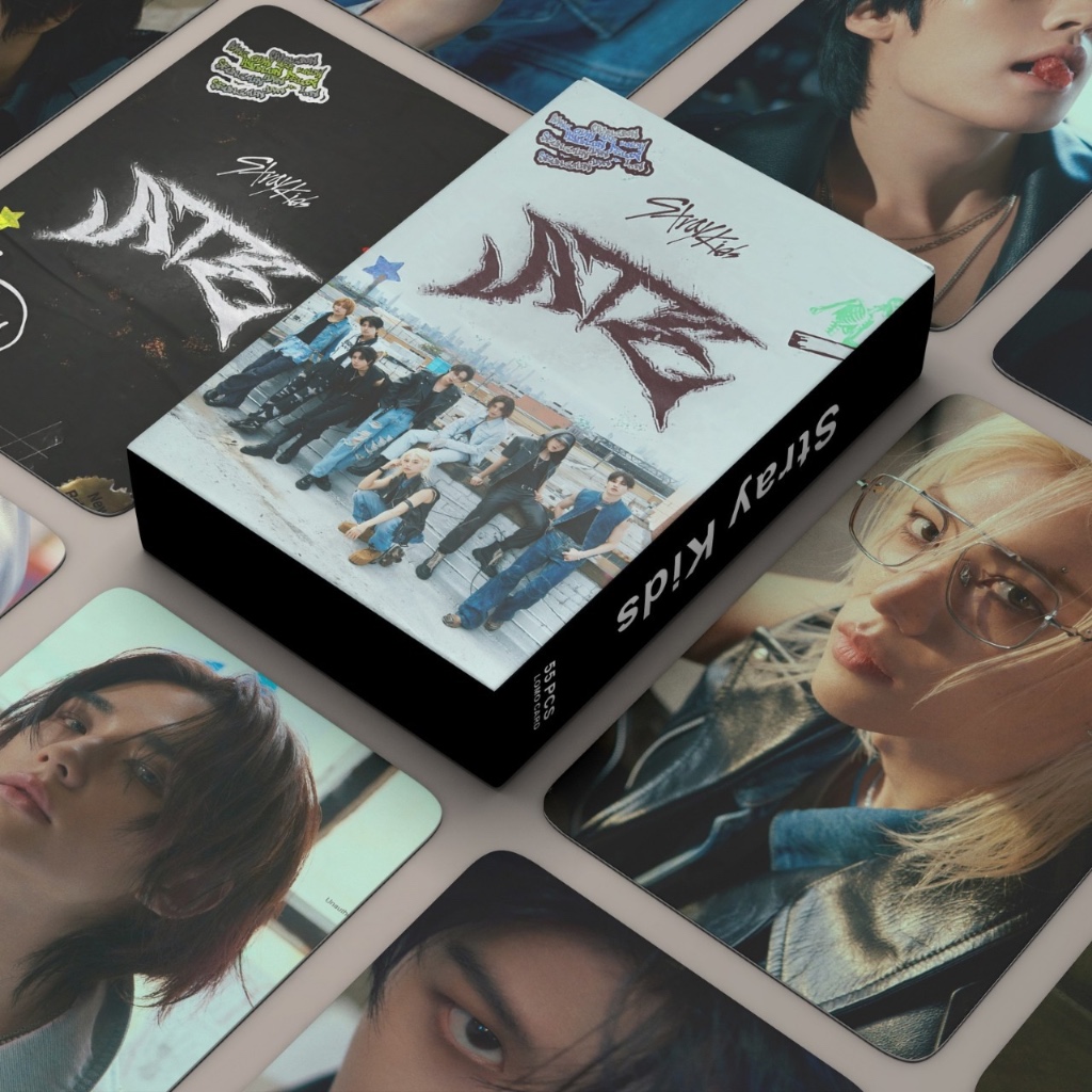 Stray Kids 4th fanmeeting Fan Collector's Photocard Commemorative ...