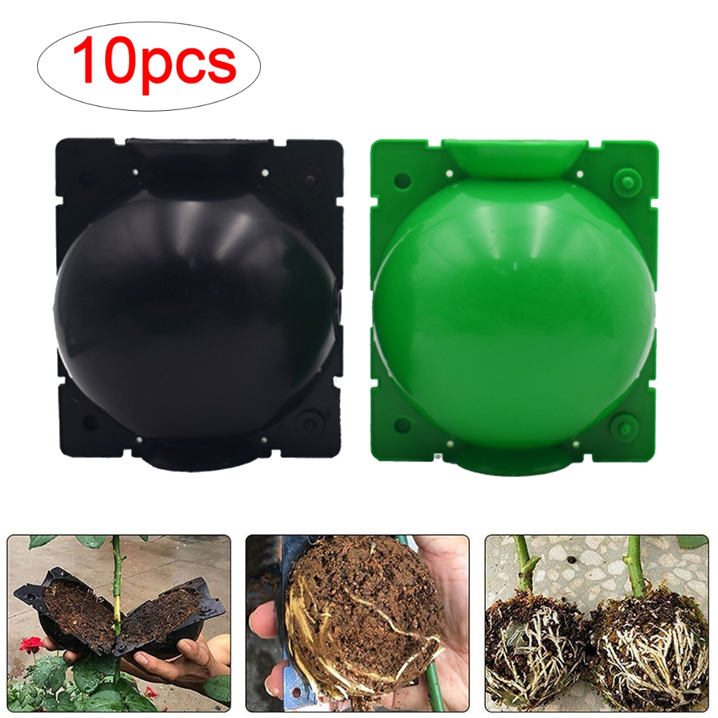10 PCS Botany Plant Rooting Root Device Pot High Pressure Propagation ...