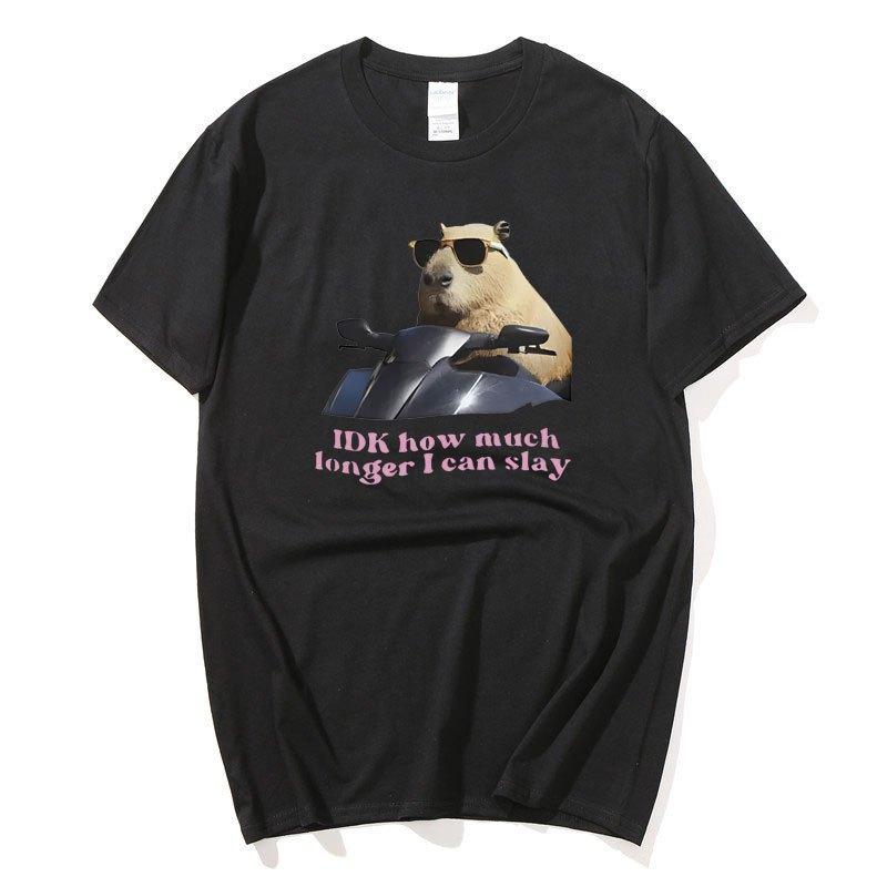 IDK How Much Longer I Can Slay Capybara Funny Meme T Shirts Men Women ...