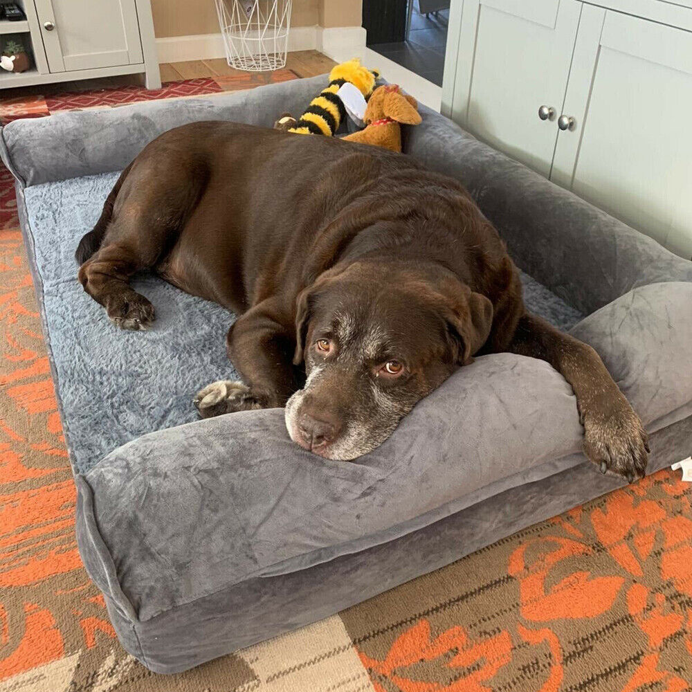 Buy Sofa dog At Sale Prices Online - June 2026 | Shopee Singapore