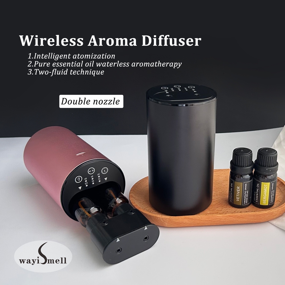 NEW Dual-Nozzle Portable Waterless Essential Oil Nebulizing Diffuser ...