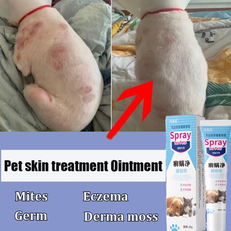 Pet Skin Treatment Antifungal cream Special ointment for ringworm in ...
