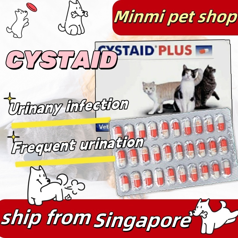 Cystaid for Urinary System Problems in Cats / Nutritional Supplement ...