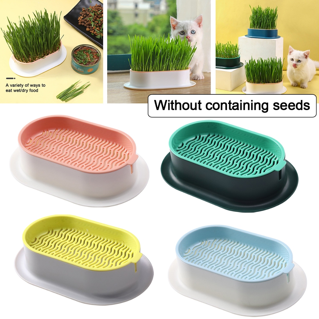 2024 New Cat Grass Hydroponic Tray Soilless Planter Miniature Growing Kit Interactive Toys Box ...