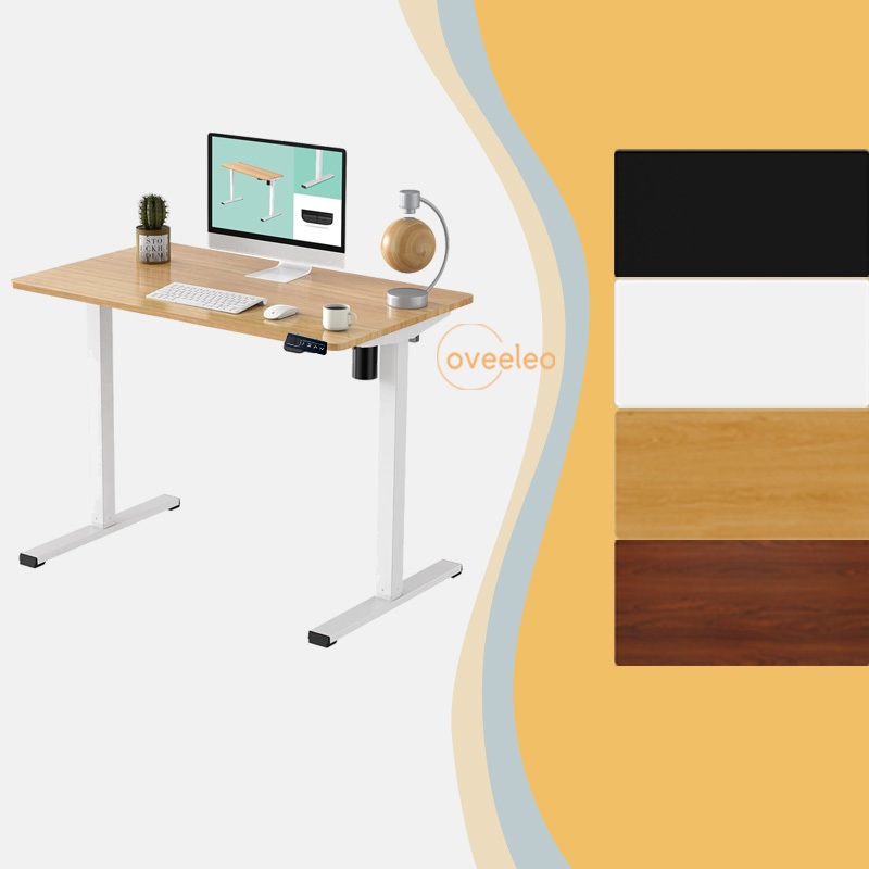 Electric Height Adjustable Desk Memory Standing Desk 120x60cm Ergonomic ...