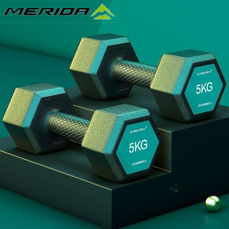 MER Fitness Premium Dumbbell Set 10/20/30/40kg Dumbbell Household ...